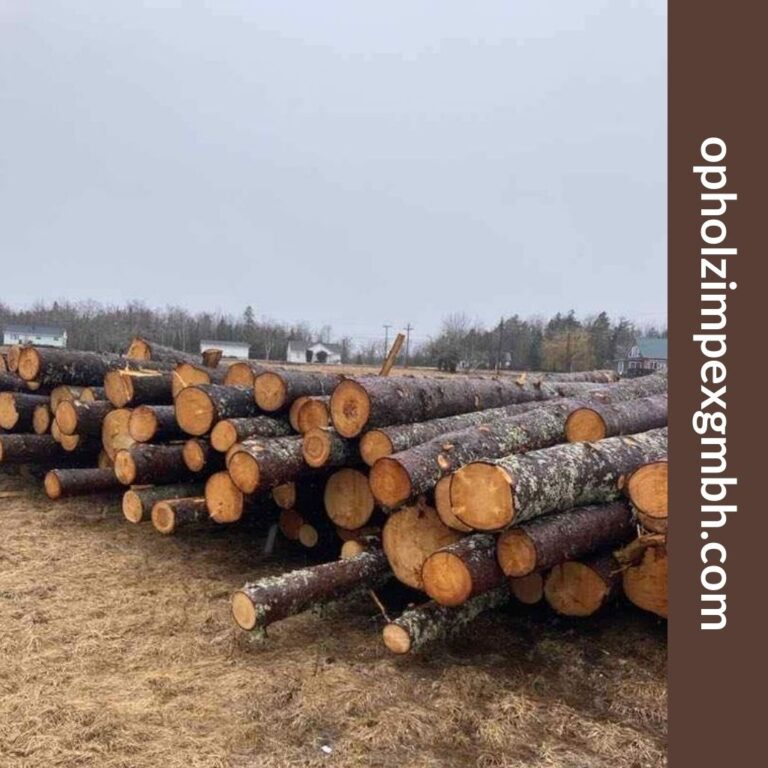 Bulk Buy Spruce Logs - O.P. Holz Impex GmbH